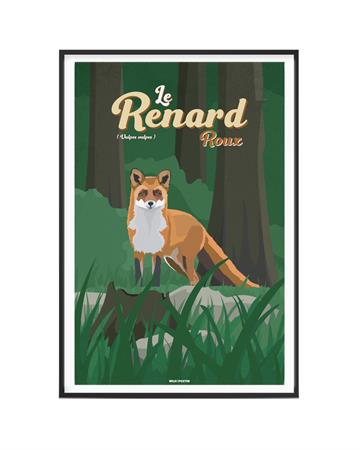 Affiche Animaux - Le Renard roux 40 x 60 cm Maisons du monde