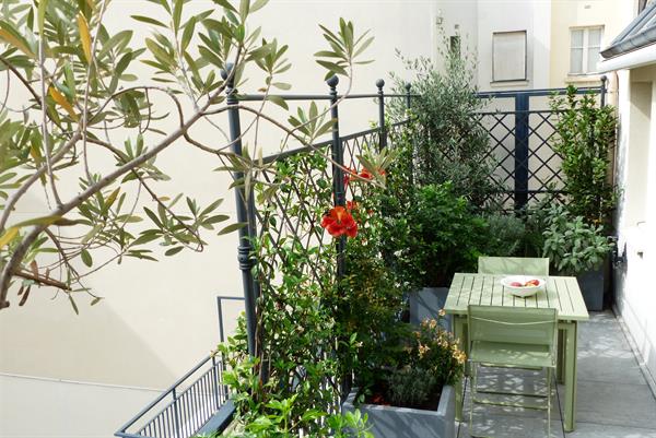 Terrasse sur balcon avec rambarde métallique et plantes grimpantes